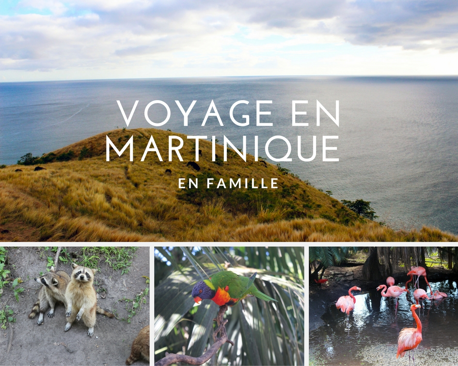 Voyage en Martinique : Découverte de l'île... - Un bébé, ça change la vie